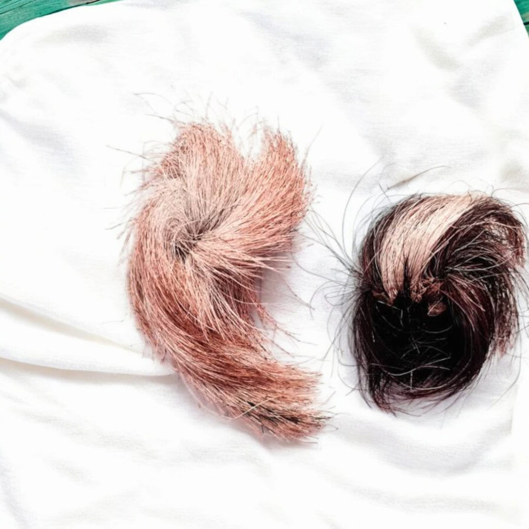 Siyar Singhi Energized Male-Female Pair | Lab Certified | Timeshopee