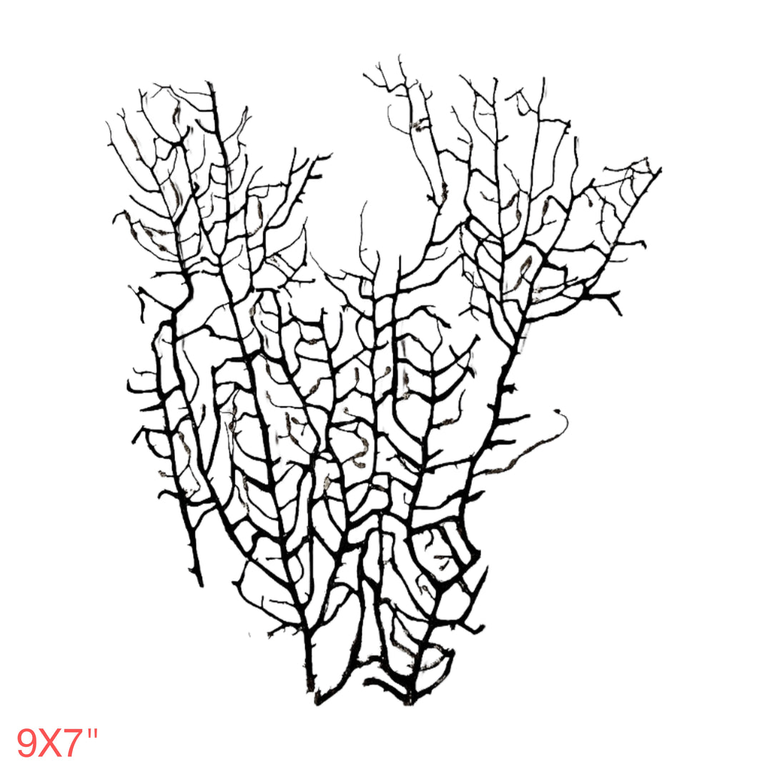 Indrajal 100% Genuine Talisman | For Goodluck & Prosperity | Timeshopee