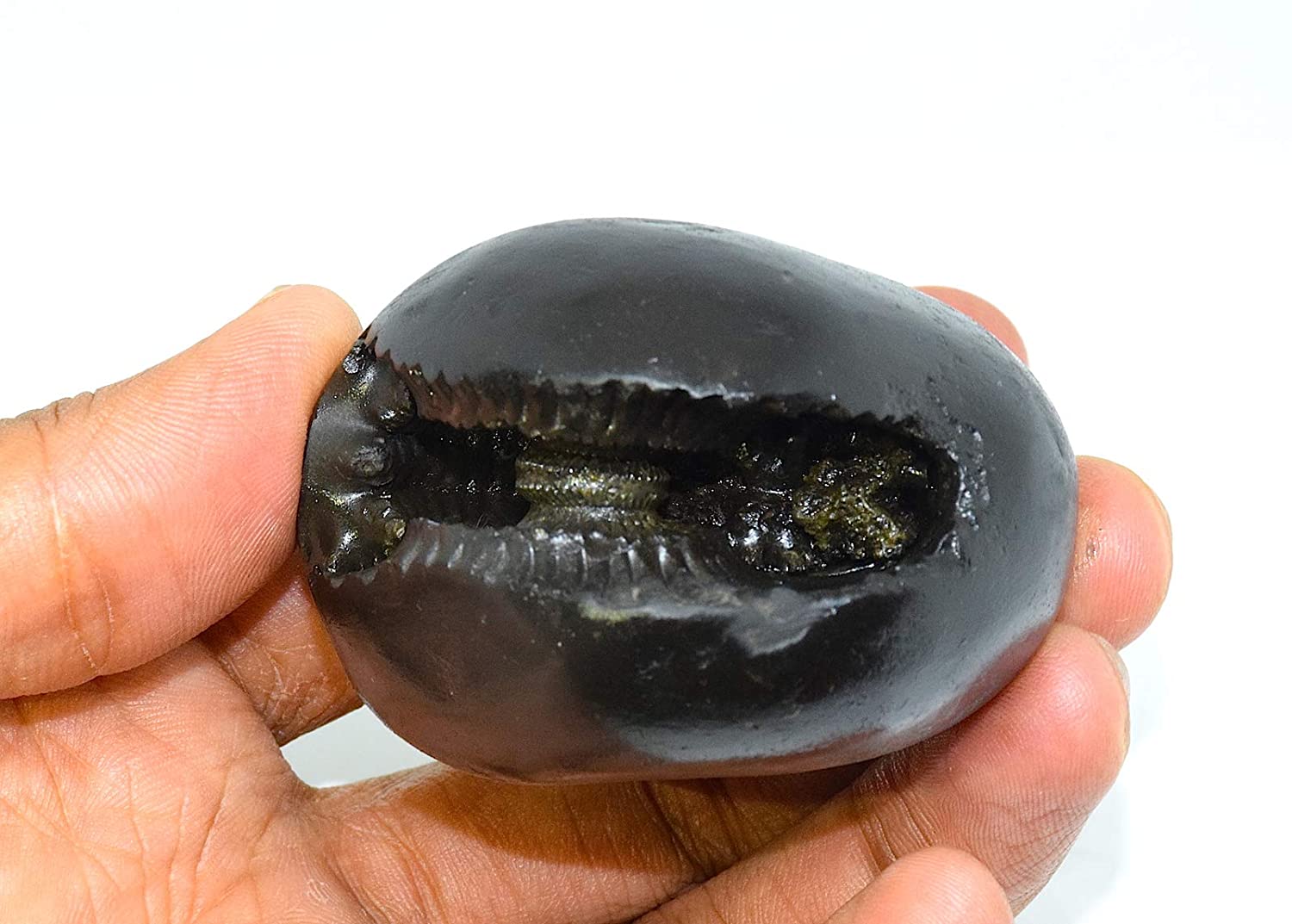 Laxmi Narayan Shaligram By Timeshopee