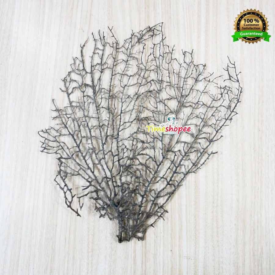 Indrajal 100% Genuine Talisman | For Goodluck & Prosperity | Timeshopee