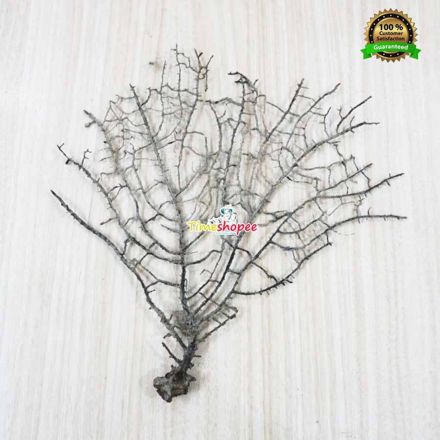 Indrajal 100% Genuine Talisman | For Goodluck & Prosperity | Timeshopee